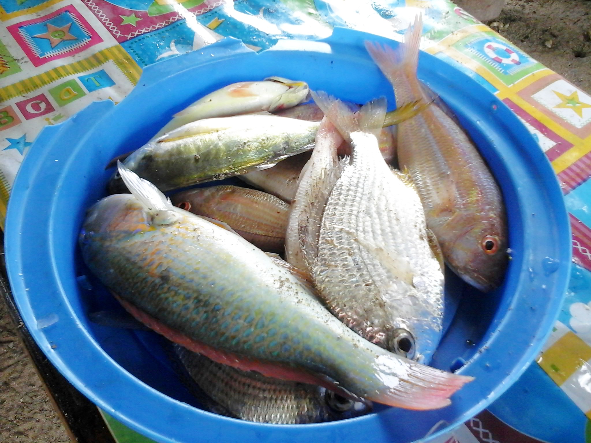 Sand Bar sa Concepcion Iloilo – Ilonggo Traveler
