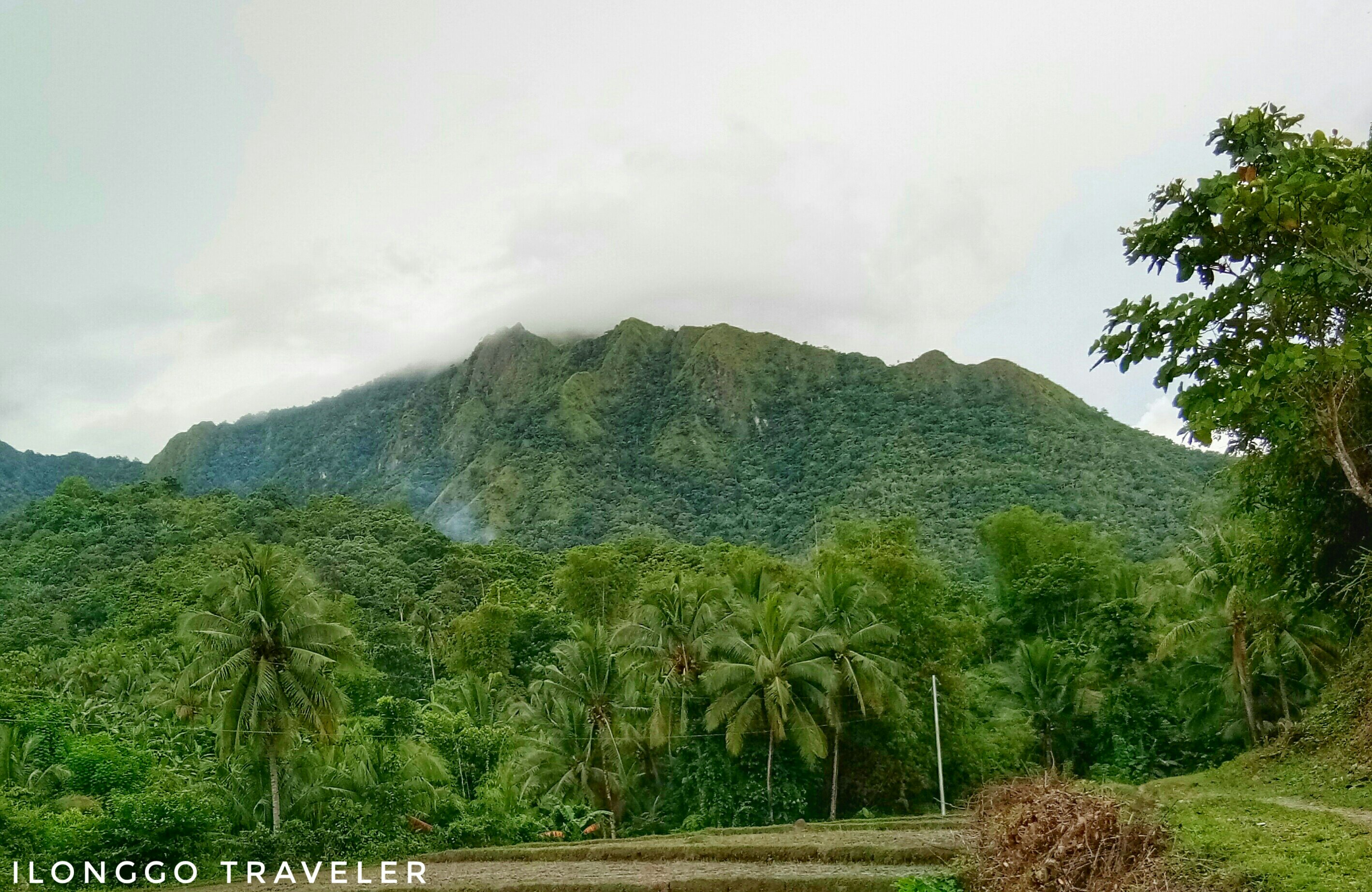 Guide to Mt. Tigbararing – Ilonggo Traveler