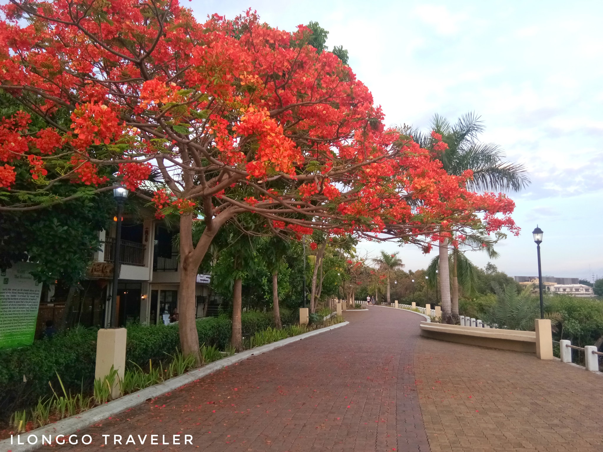 Why you should visit the City of Love? – Iloilo City – Ilonggo Traveler