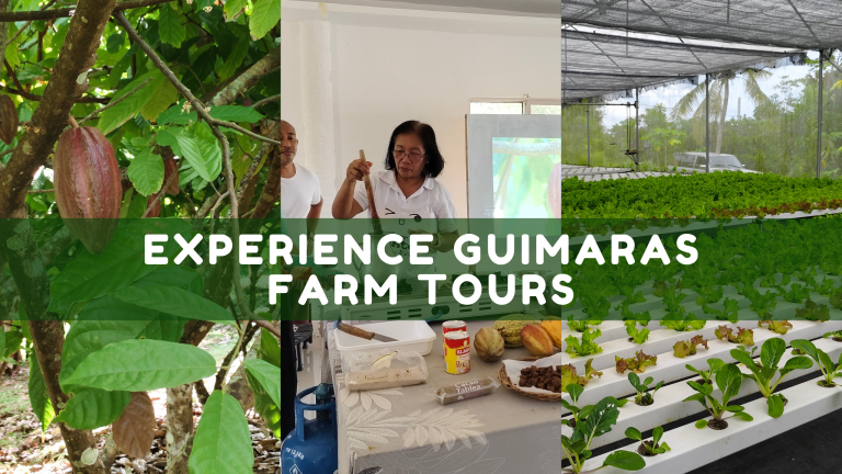 Experience Guimaras Differently: Join Guimaras Farm Tours! – Ilonggo ...